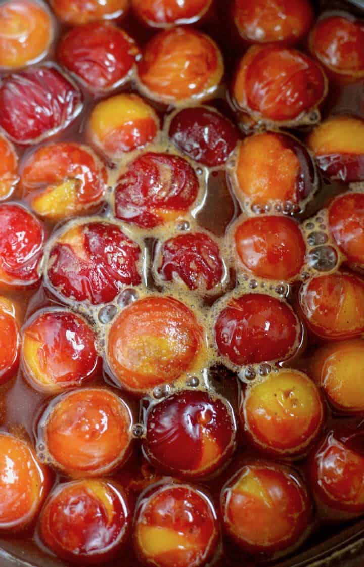 Wild Plum Compote - Easy and Quick Recipe - Vegan on Board