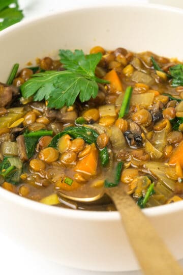 Vegan Lentil Soup - Vegan on Board